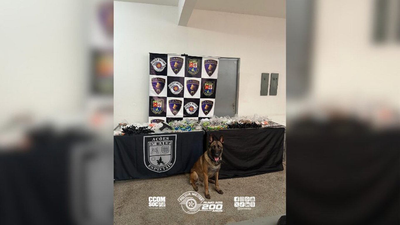 Polícia apreende 7 quilos de drogas em ação do BAEP em Pirapora